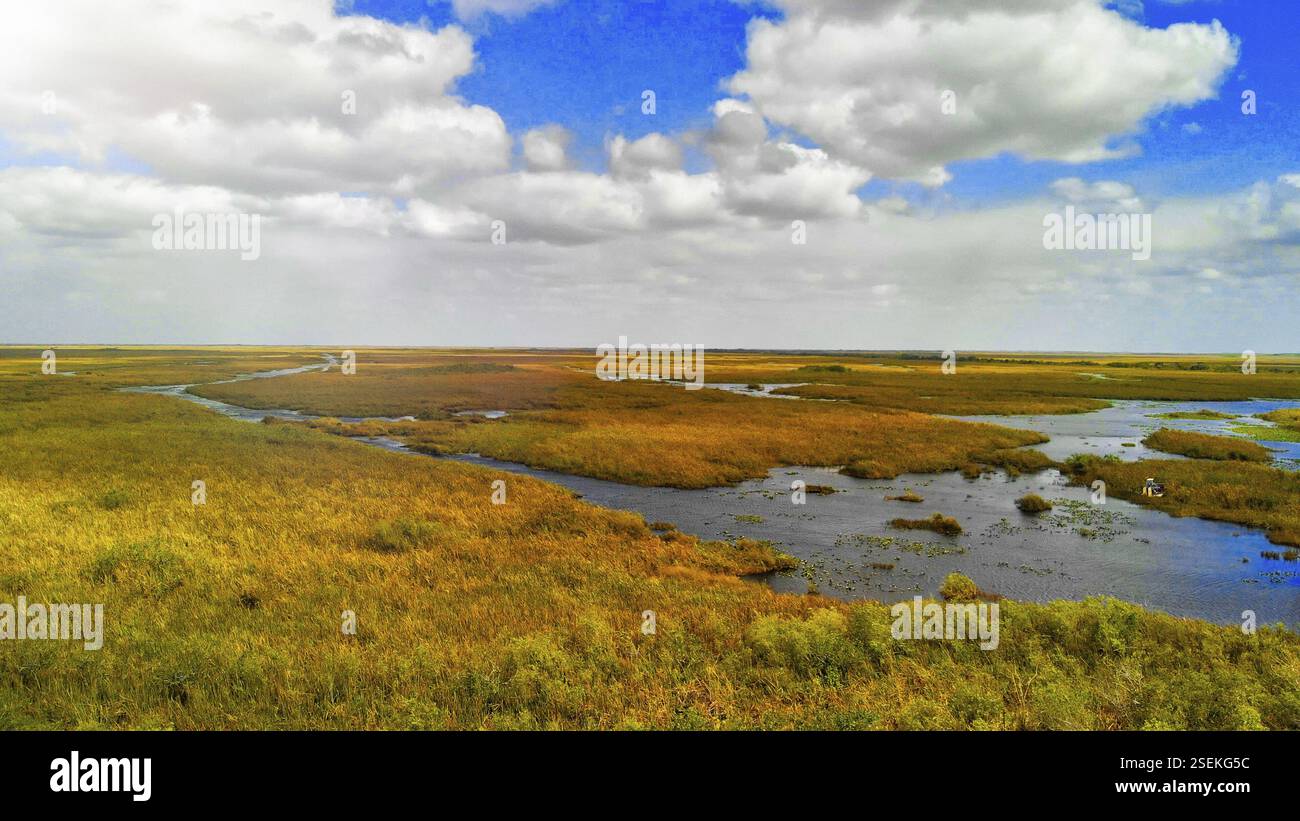 Aerial view of a creek and swamps in the Florida Everglades, United ...