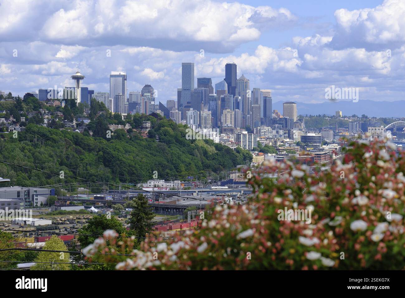 Ella Bailey Park Seattle, Washington, Seattle, USA, North America Stock ...