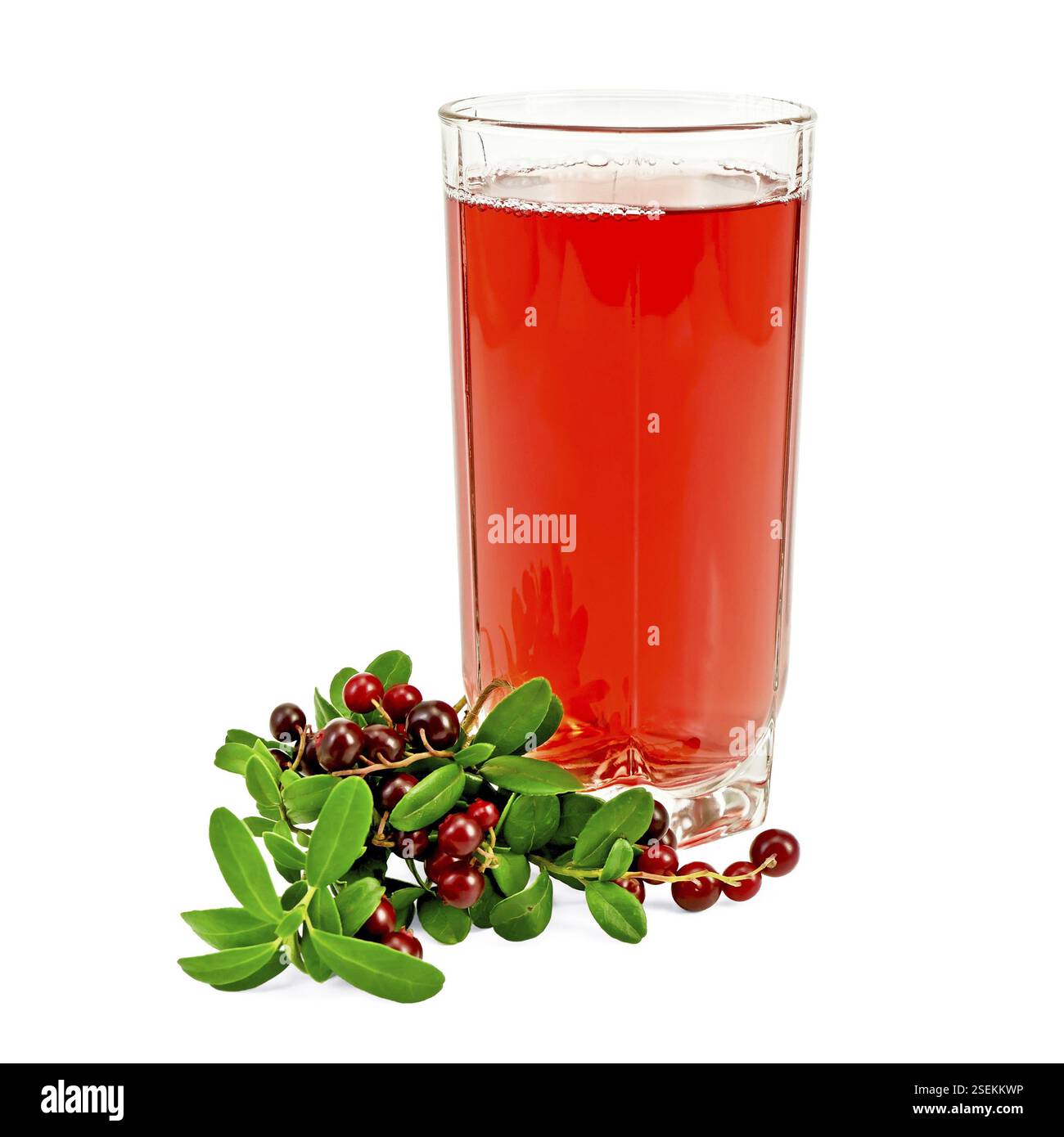 Cranberry juice in a tall glass, a bunch of sprigs of cranberry with ...