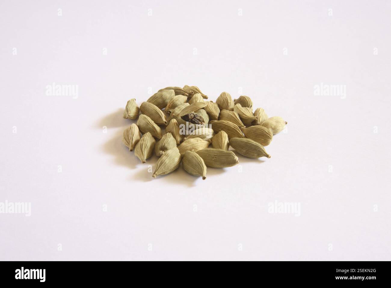 Indian spice, bleached green Cardamom pods Elaichi Elettaria cardamom ...