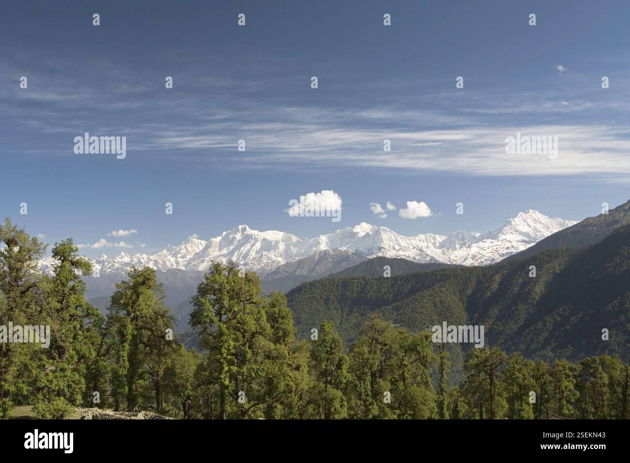Peaks of Garhwal Himalayas seen from Chopta, Uttaranchal, India, Asia ...