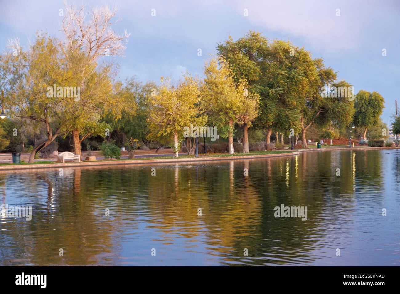 West wetlands flora hi-res stock photography and images - Alamy