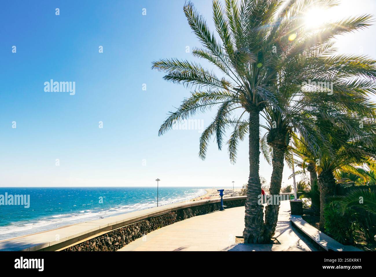 One of the best beach in the Canaries - Maspalomas Beach (Playa de ...
