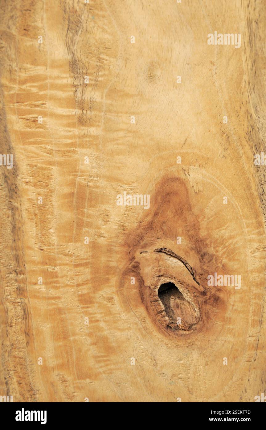 Wooden plank with asymmetrical design texture and dent Stock Photo - Alamy
