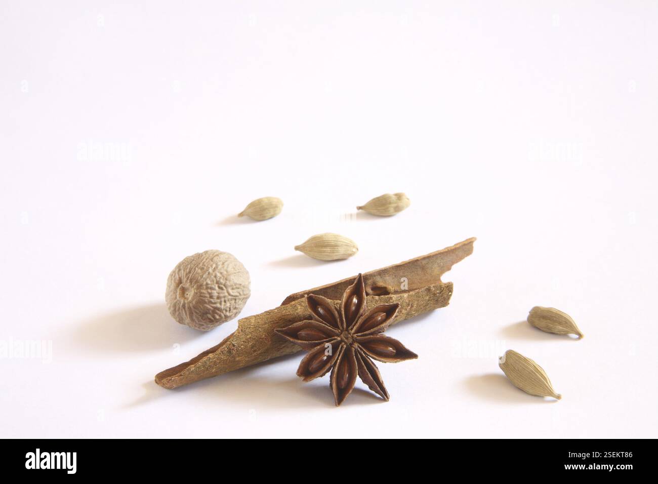 Dalchini plant hi-res stock photography and images - Alamy