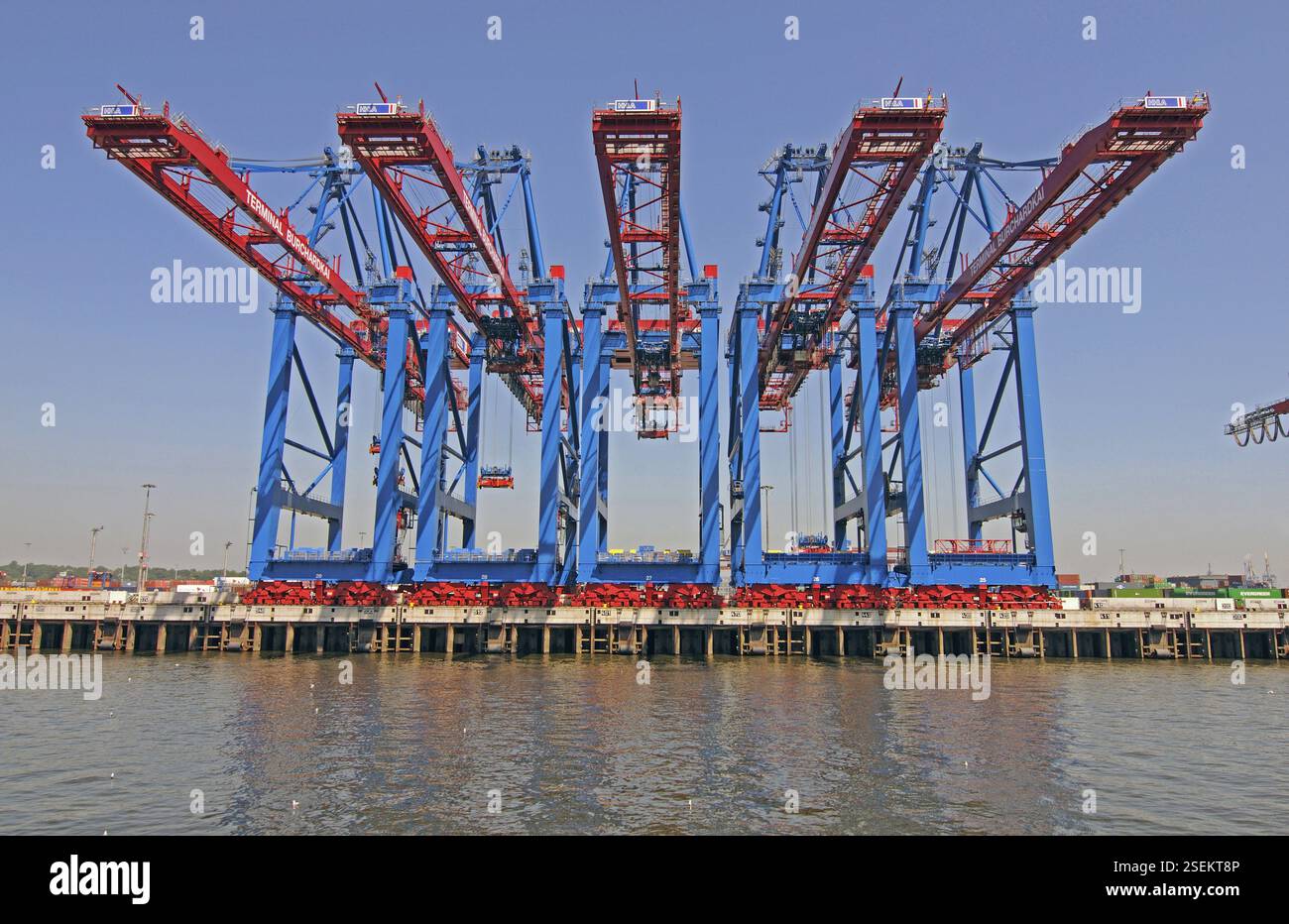Hamburg, harbour, modern container terminal, crane system Stock Photo ...