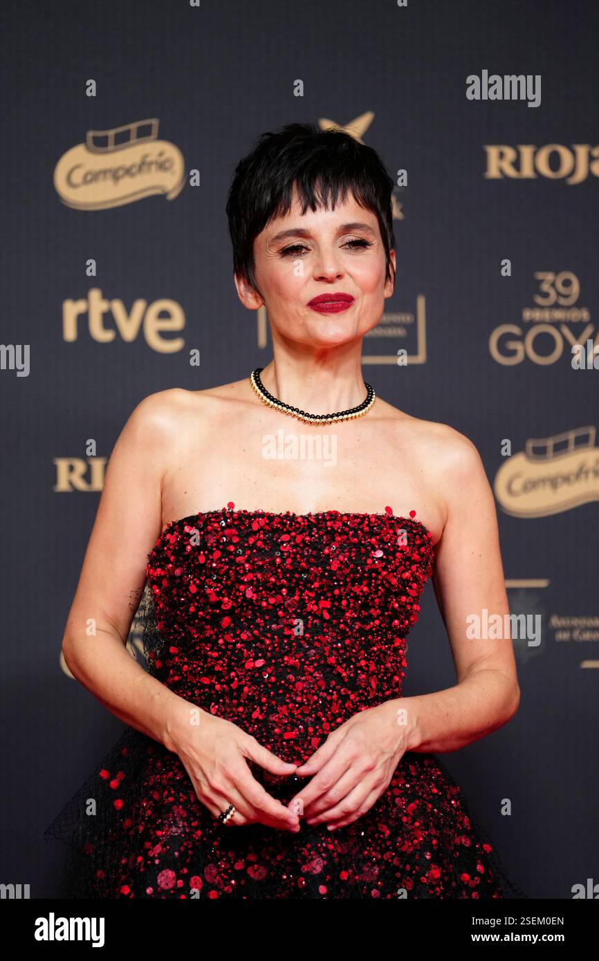 February 8, 2025, Granada, Andalucia, Spain: 8/02/2025-Granada-Spain ...