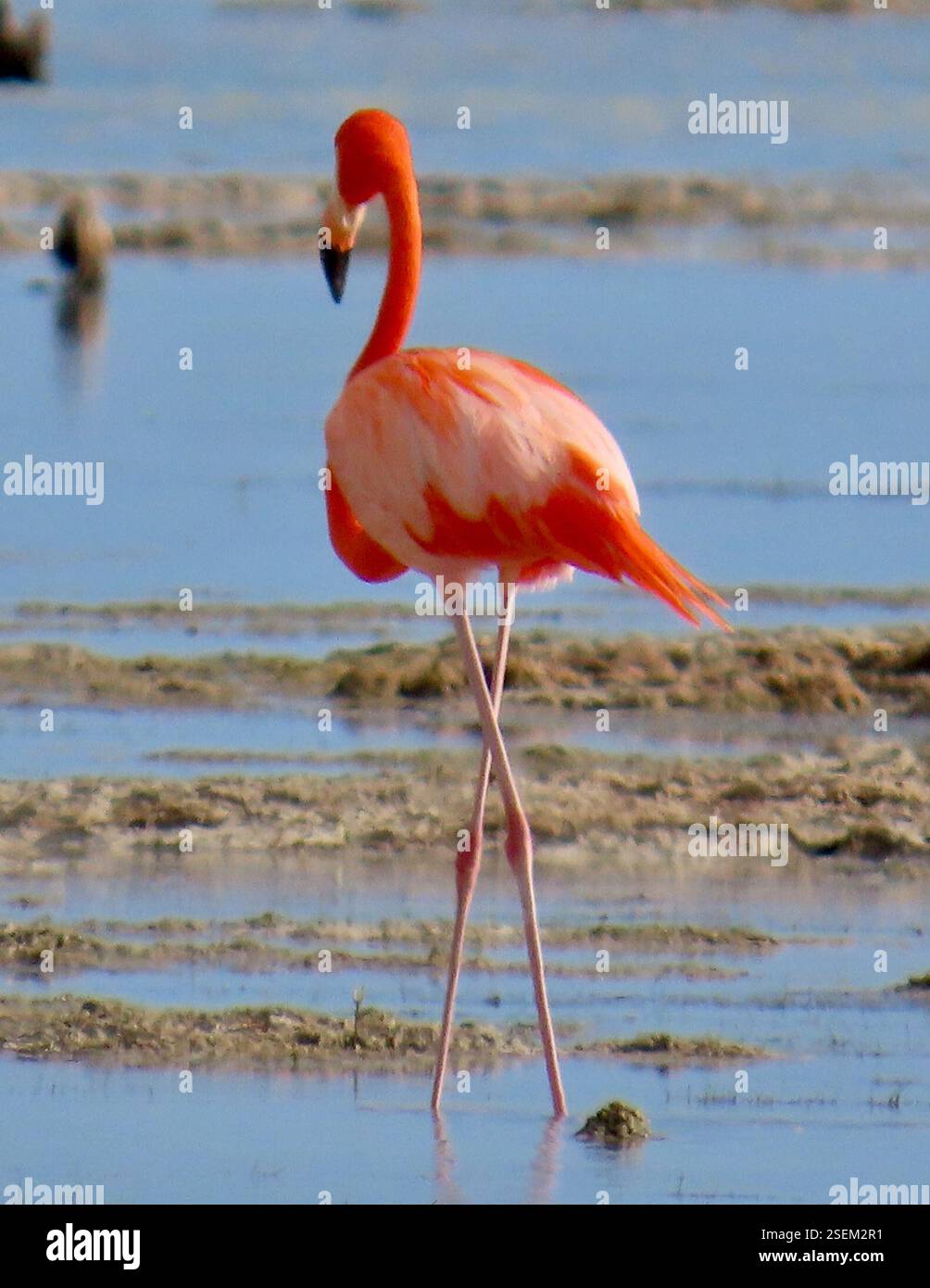 Zapata peninsula national park hi-res stock photography and images - Alamy