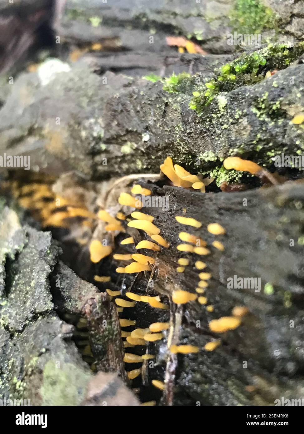 Villa yacanto hi-res stock photography and images - Alamy