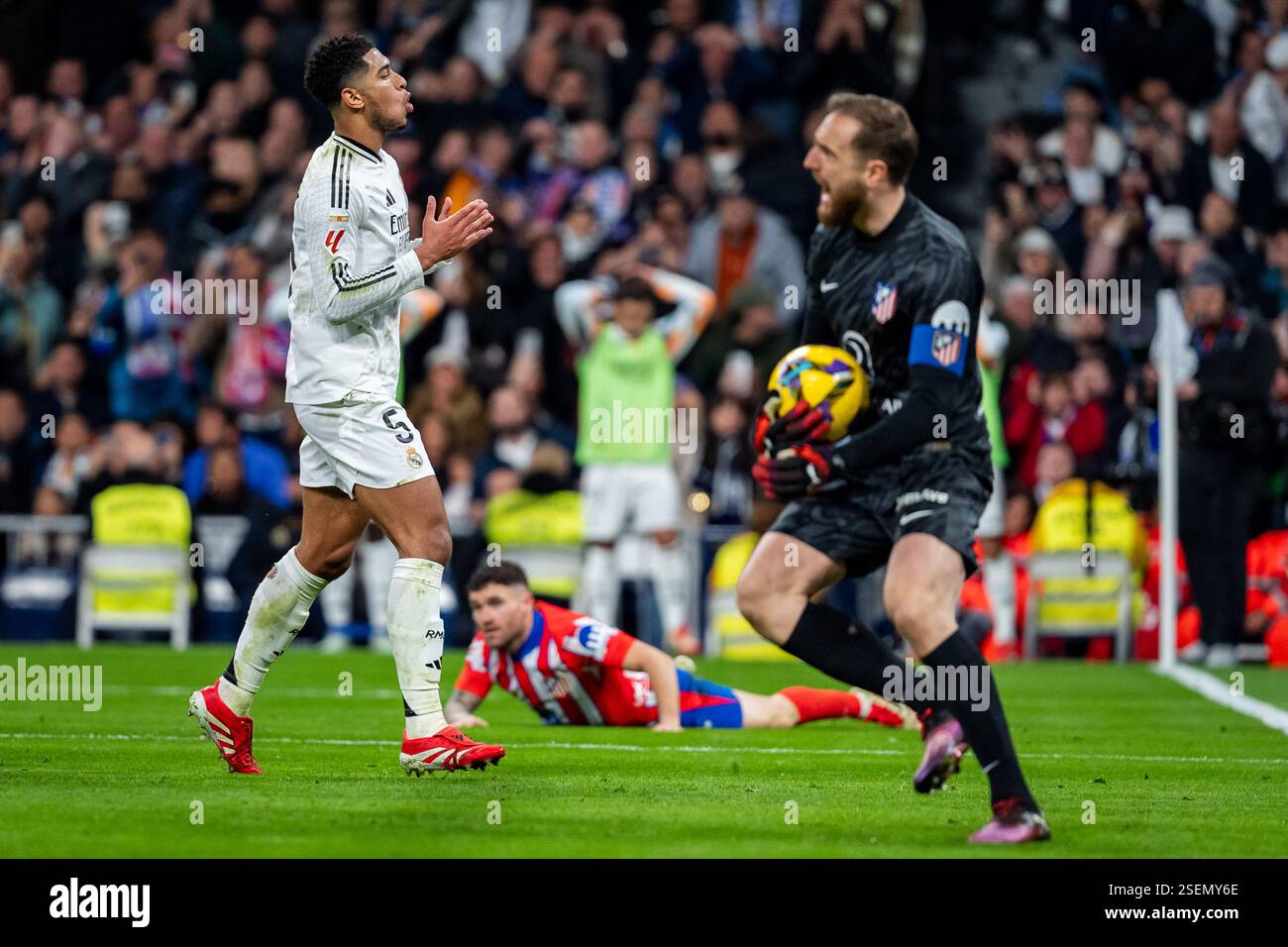 Madrid, Madrid, Spain. 8th Feb, 2025. Jude Bellingham of Real Madrid CF ...