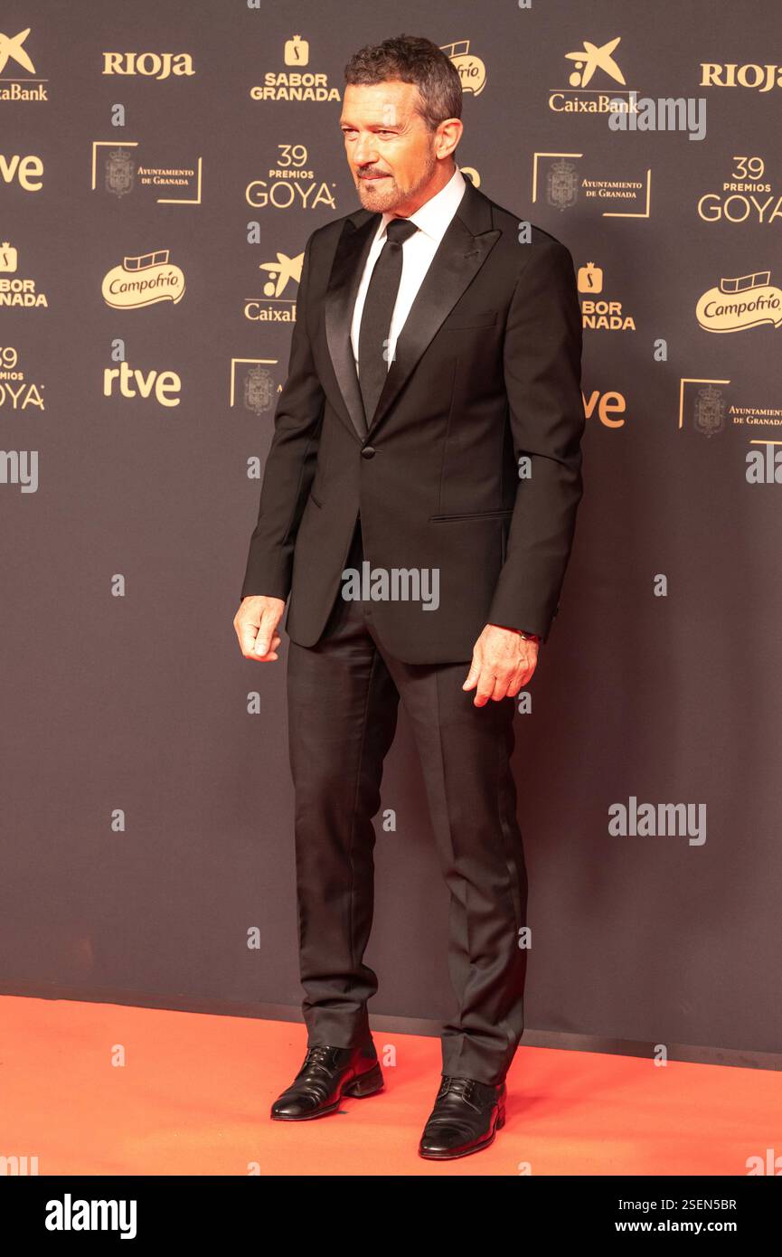 Granada, Spain February 08, 2025, Spanish actor Antonio Banderas ...