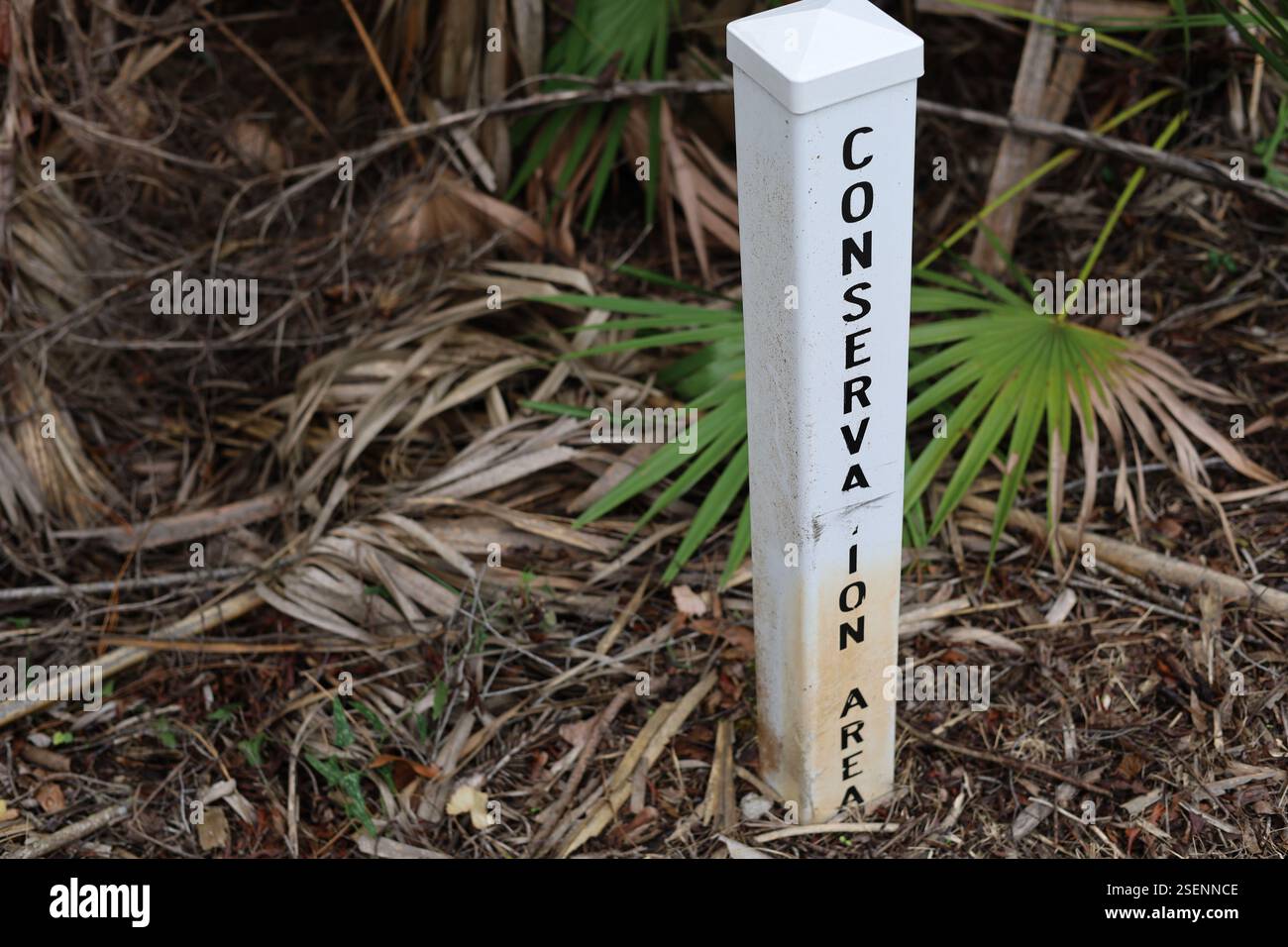 Natural space protected hi-res stock photography and images - Alamy