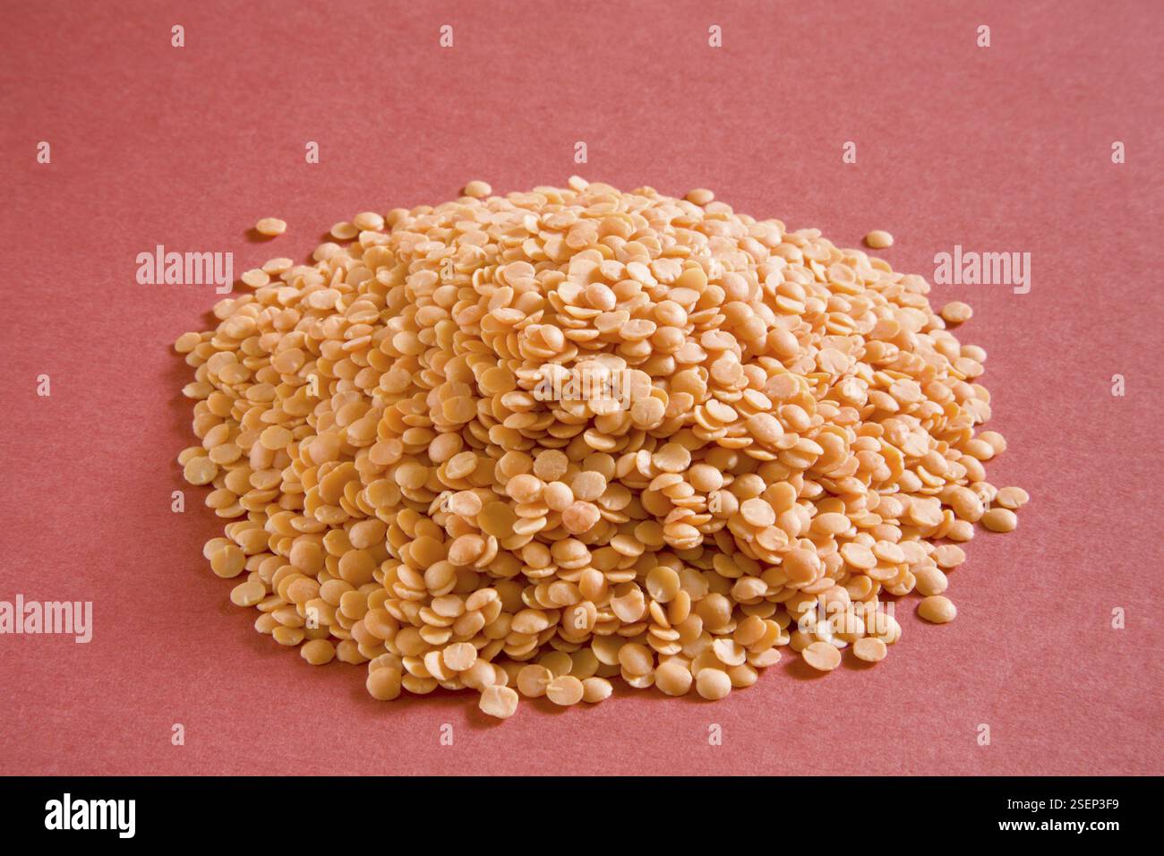 Pulses, split red lentils masoor dal lens culinaris on pink background ...