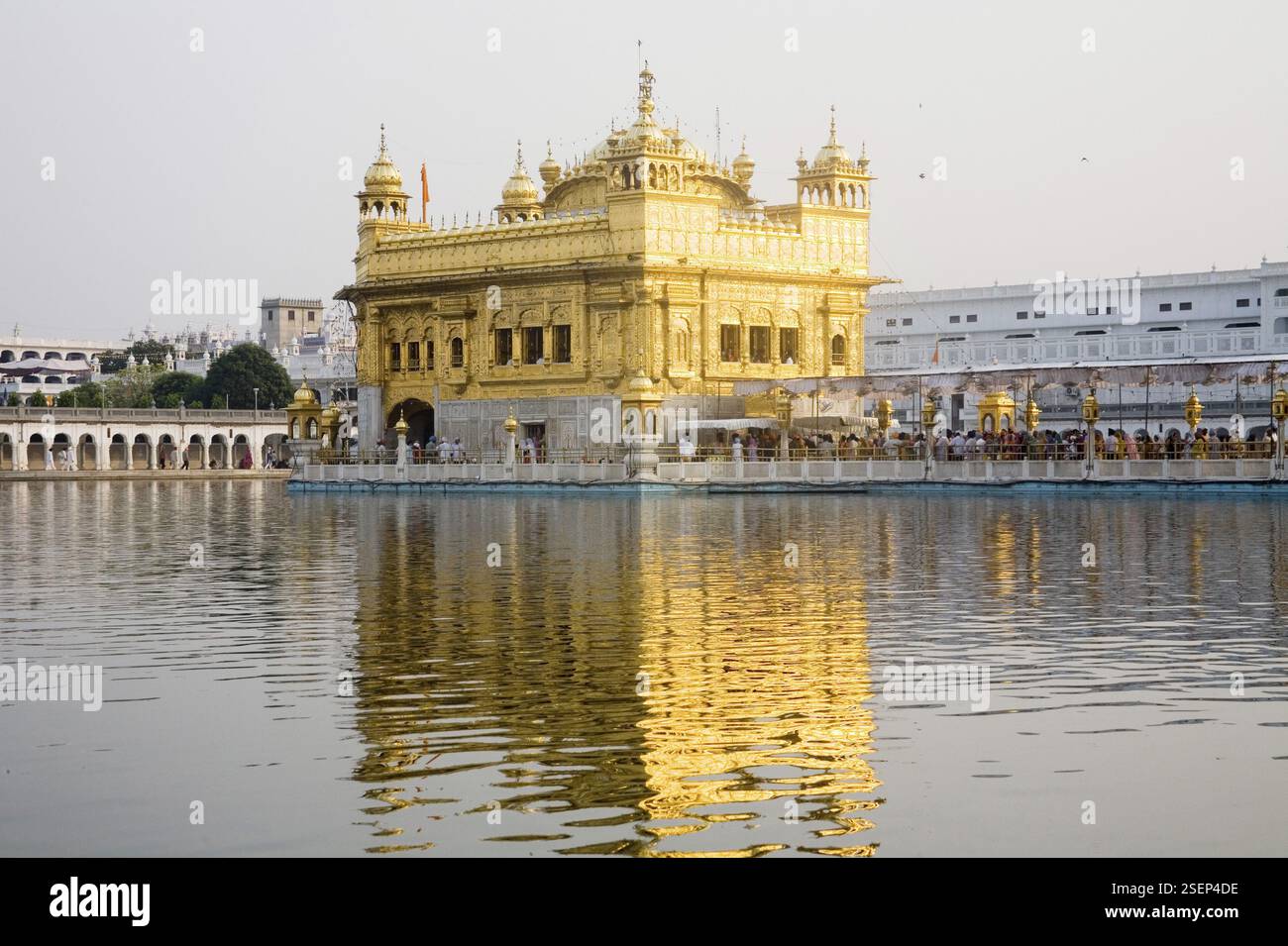 Harimandir Sahib swarn mandir or golden temple, Amritsar, Punjab, India ...