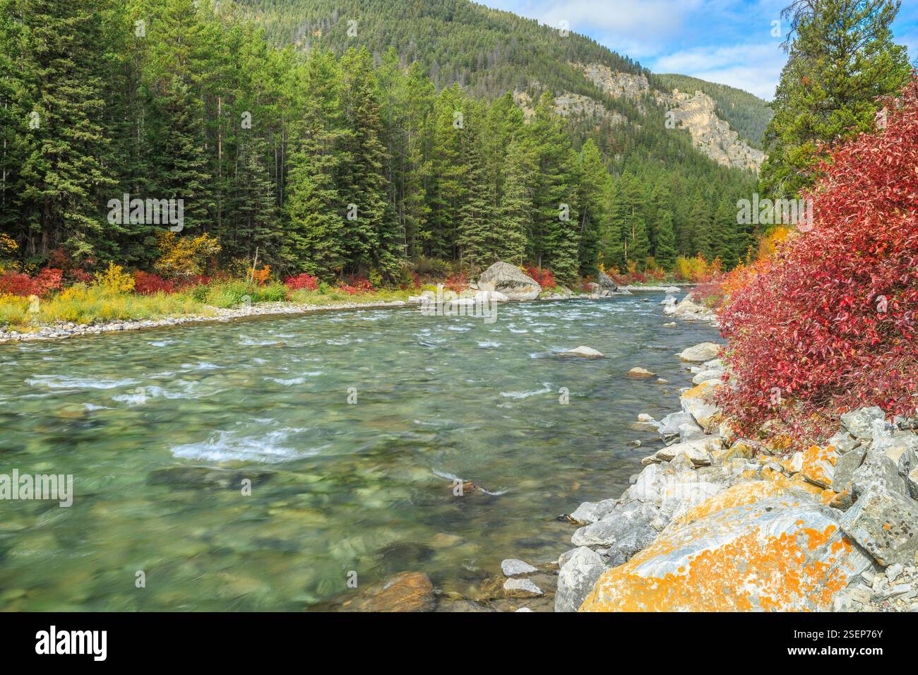 fall colors along the gallatin river near big sky, montana Stock Photo ...