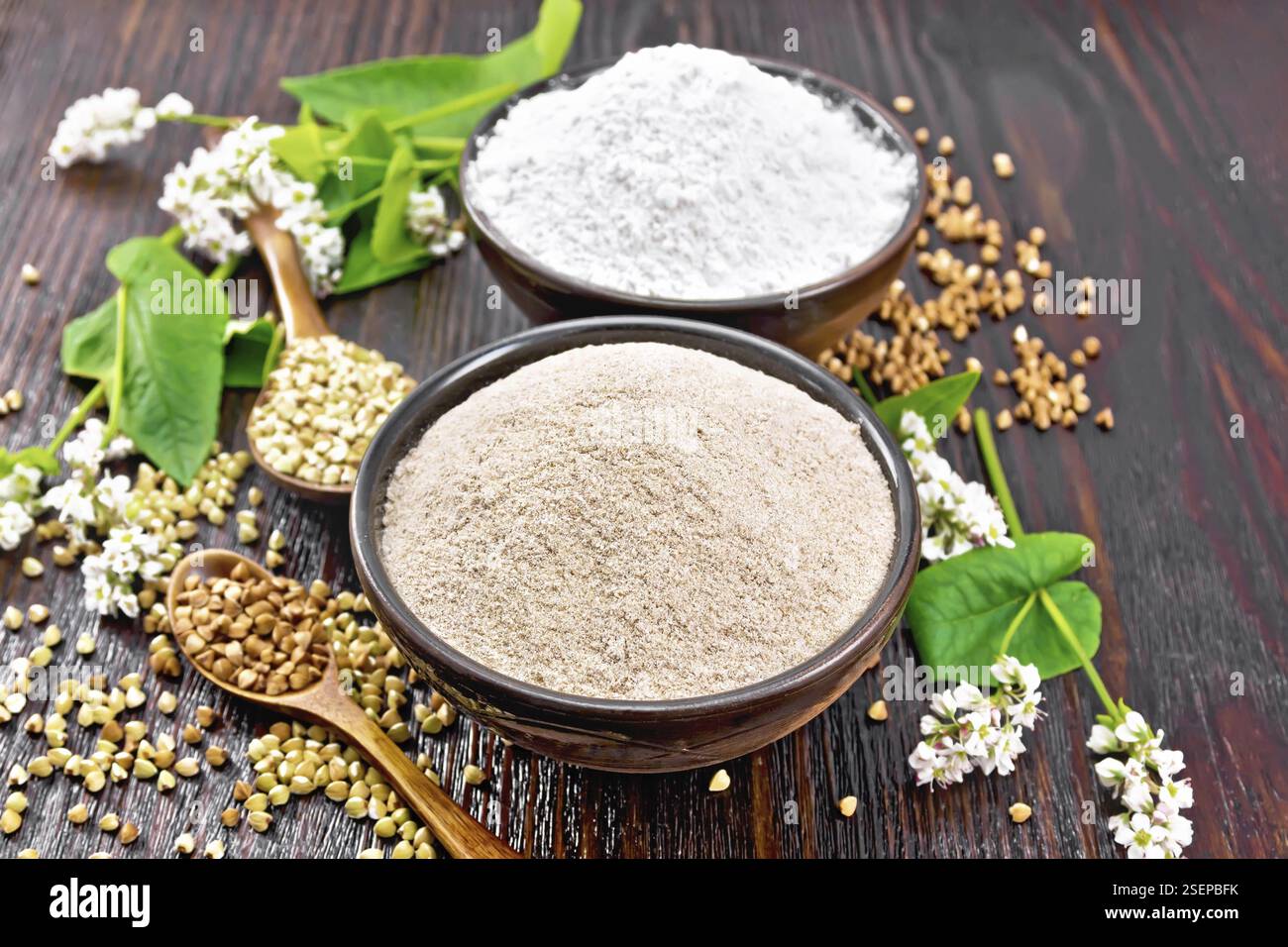 Buckwheat flour from brown and green cereals in two bowls, spoons with ...