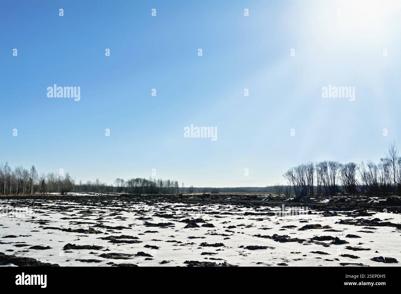 Landscape with melting snow on early spring land, blue sky, sun rays, trees and forest Stock ...