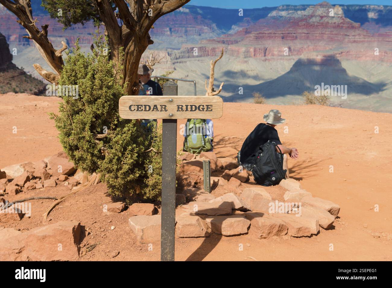 Cedar Ridge on South Kaibab Trail, Grand Canyon National Park, USA ...