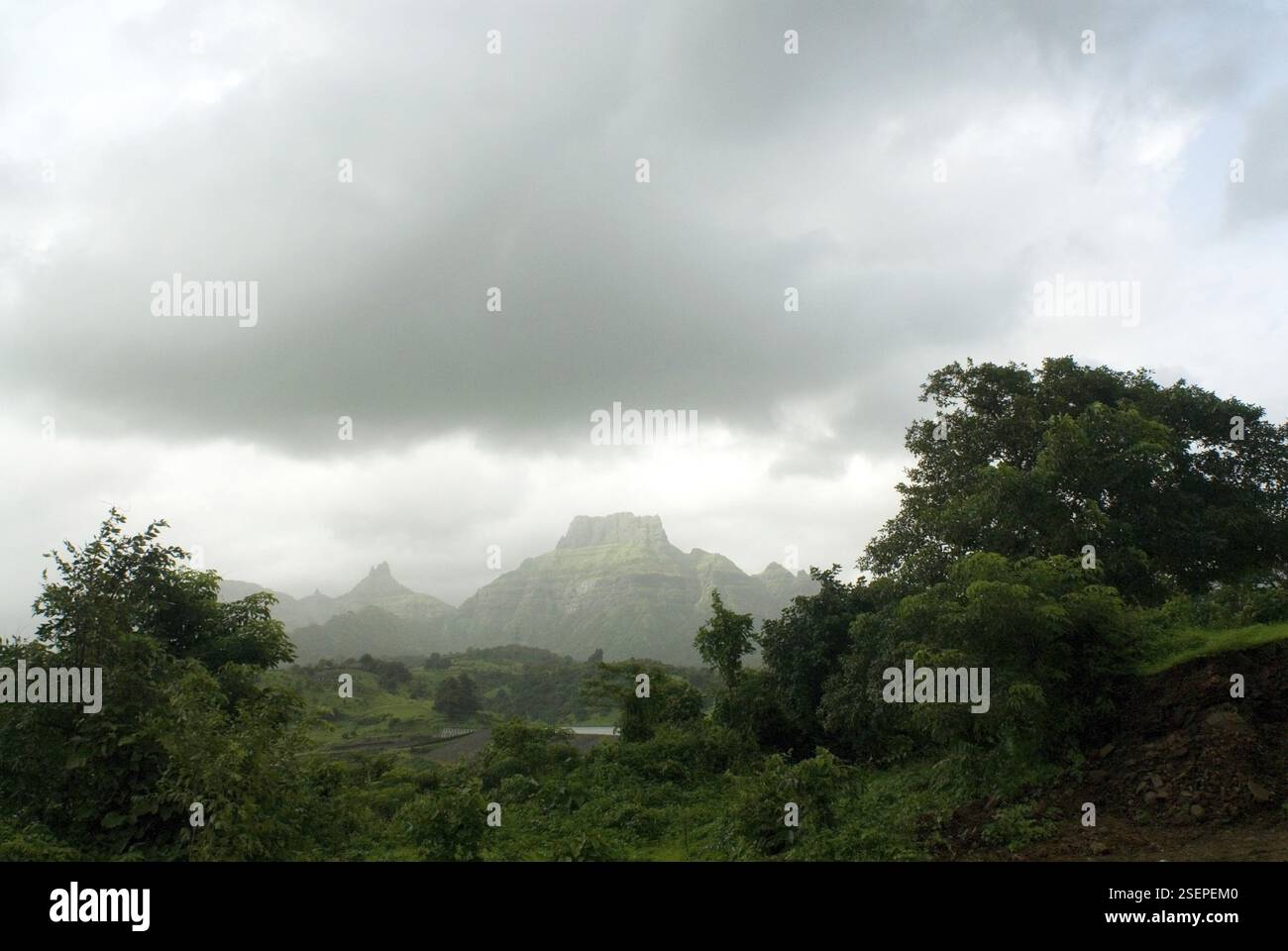 Mountain chanderi in monsoon, Taluka Panvel district Raigadh ...
