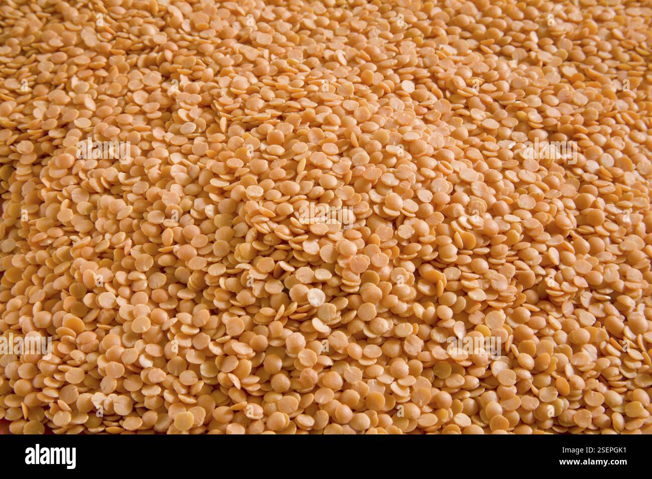 Pulses, split red lentils masoor dal lens culinaris Stock Photo - Alamy