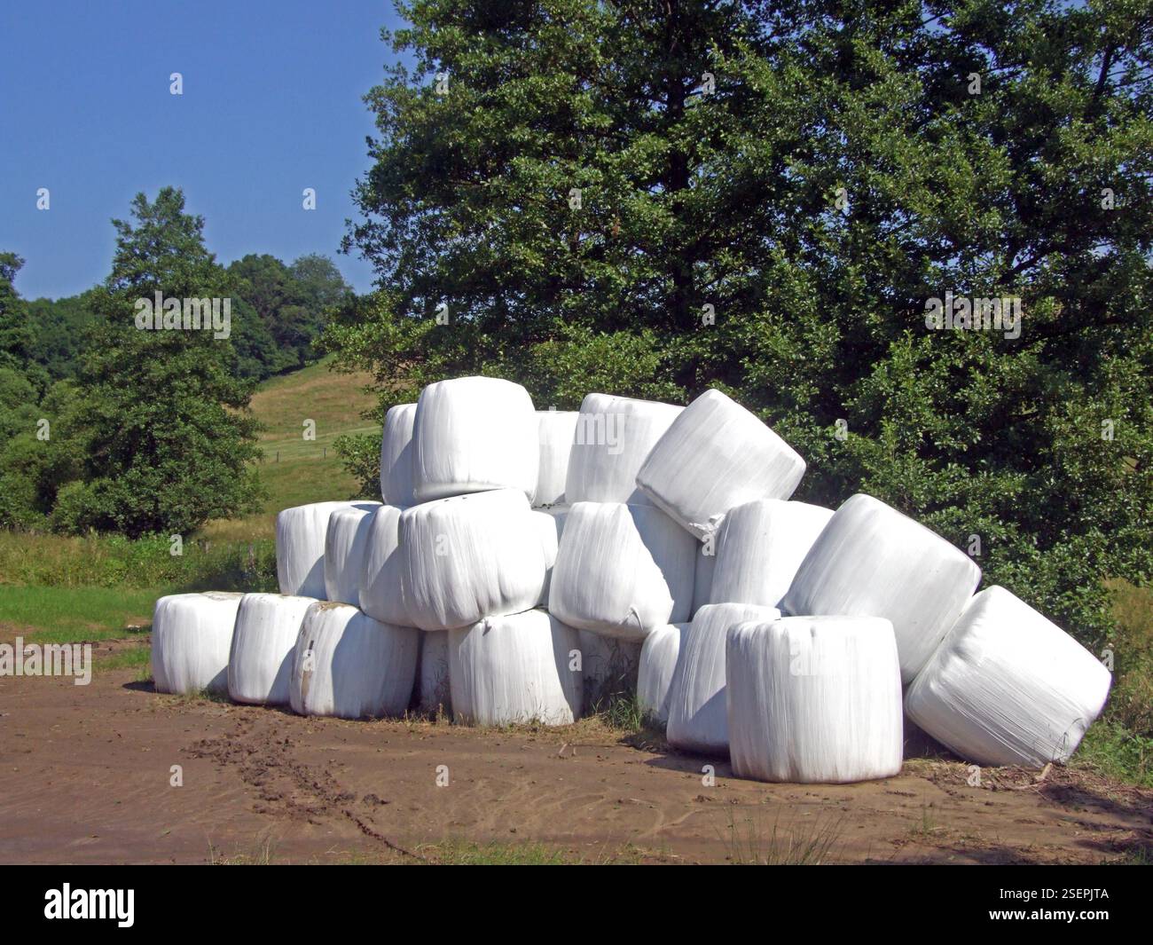 Hay packaging hi-res stock photography and images - Alamy