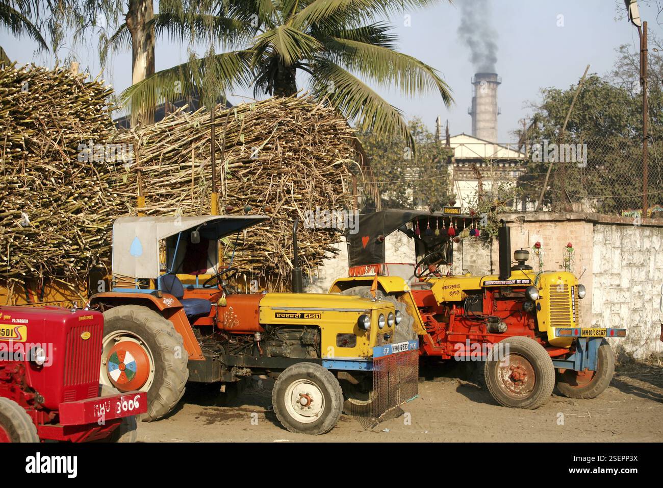 Sugar cane machines hi-res stock photography and images - Alamy