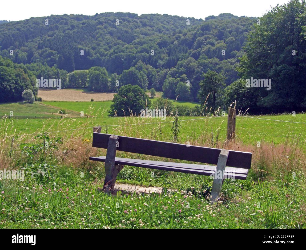 Bench, meadows, trees, valley Stock Photo - Alamy