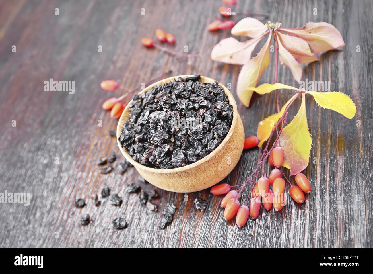 Dried black barberry in a bowl, sprigs with fresh berries and leaves on ...