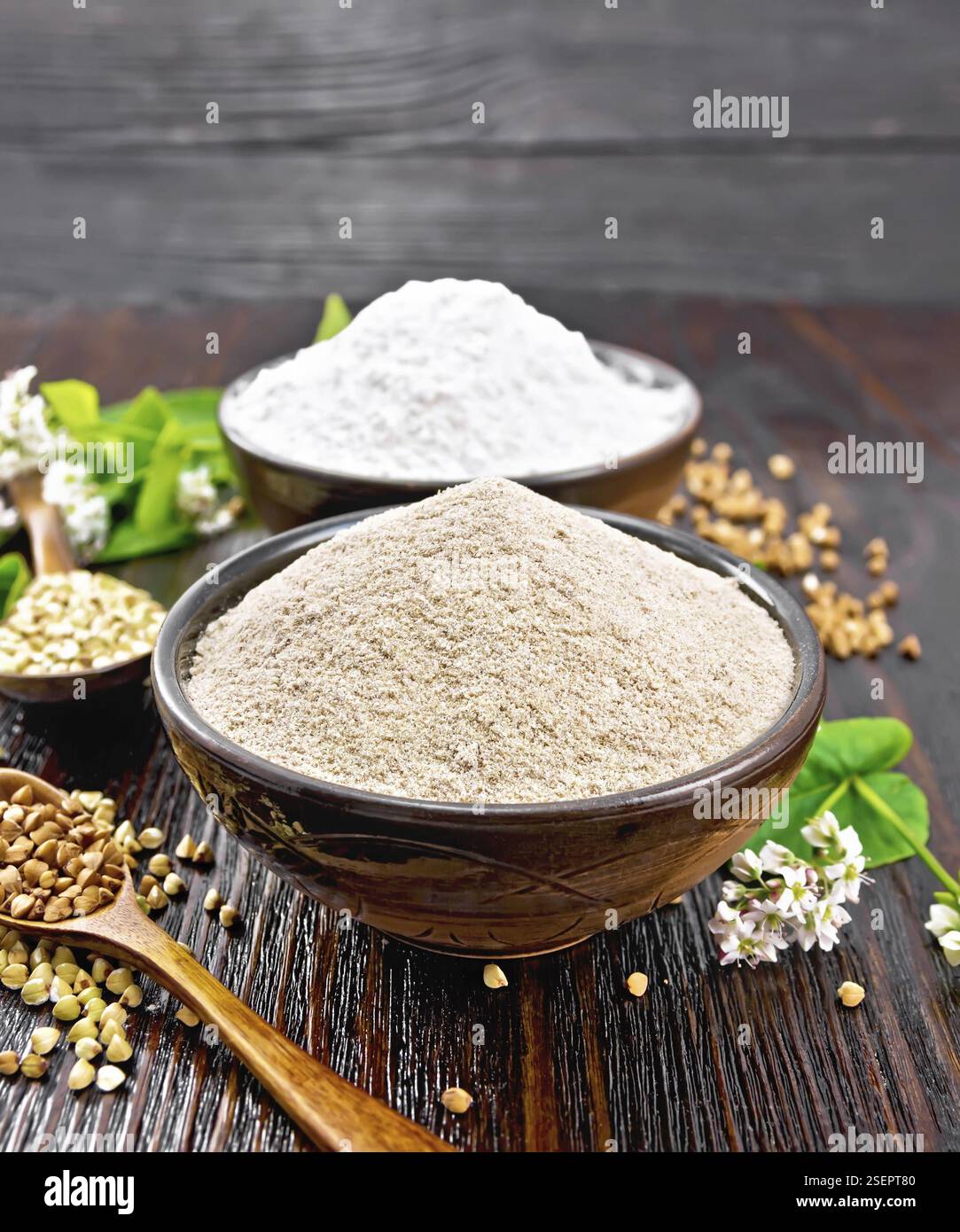 Buckwheat flour from brown and green cereals in two bowls, spoons with ...