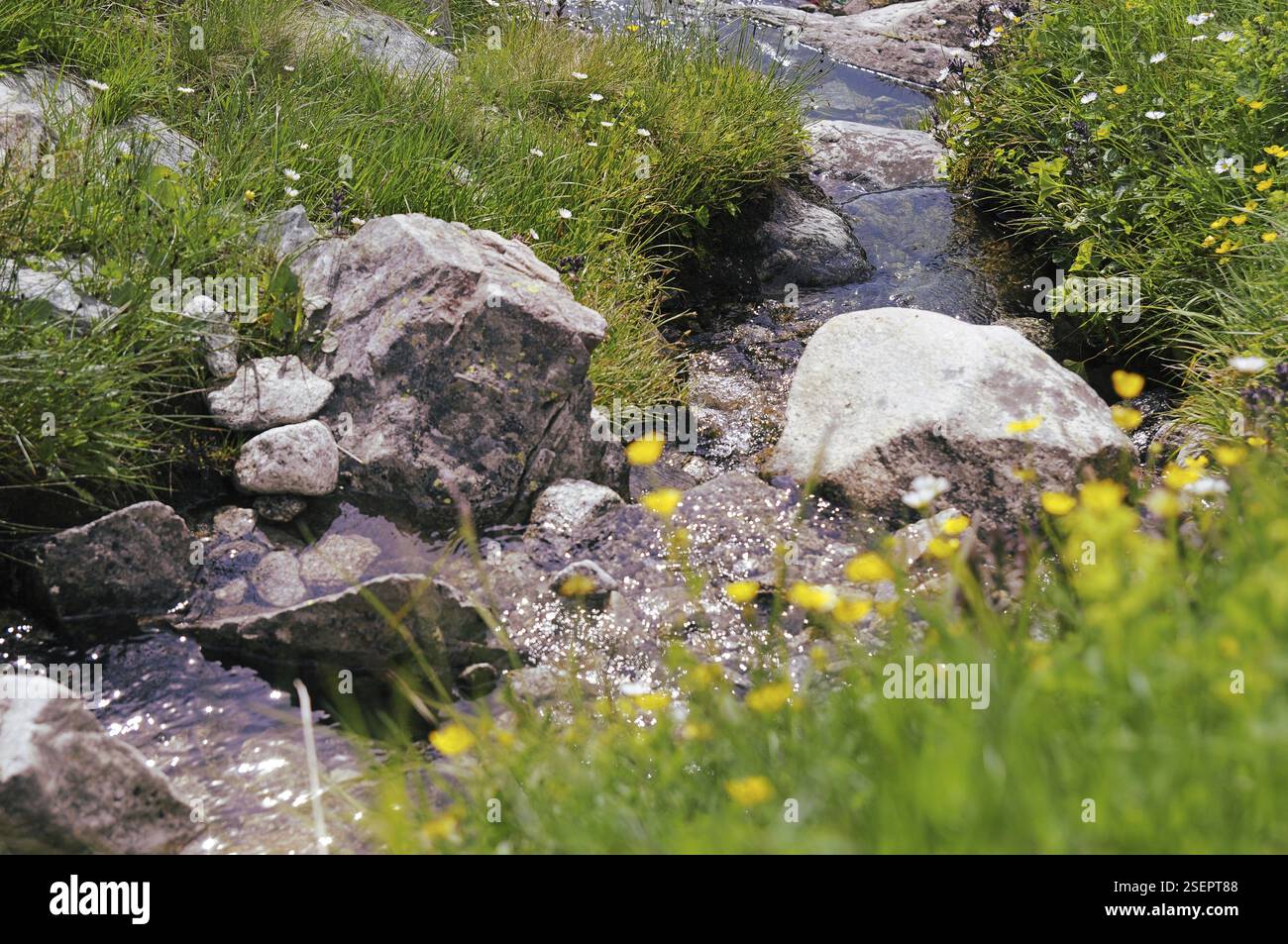Spring in Alps mountains, Switzerland, Europe Stock Photo - Alamy