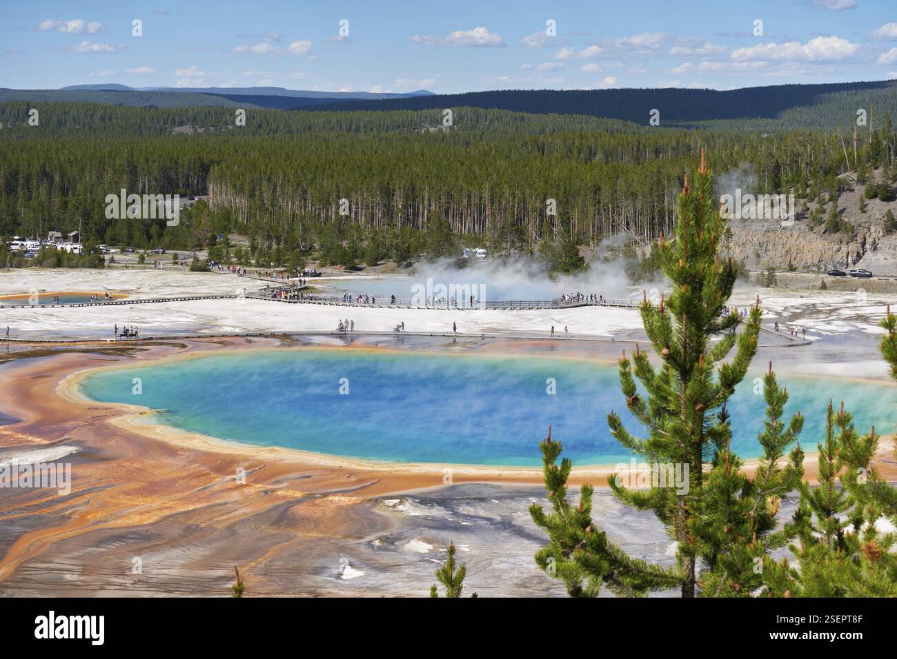 Grand Prismatic Spring Pool In Yellowstone National Park, Wyoming, USA ...