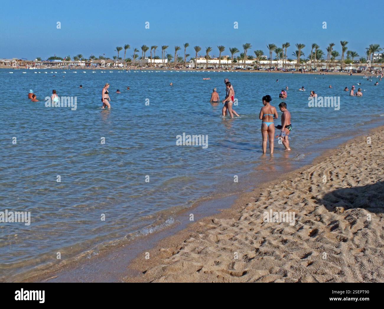 Egypt, Hurghada, red sea, beach, hotel complex Dana Beach, palm trees ...