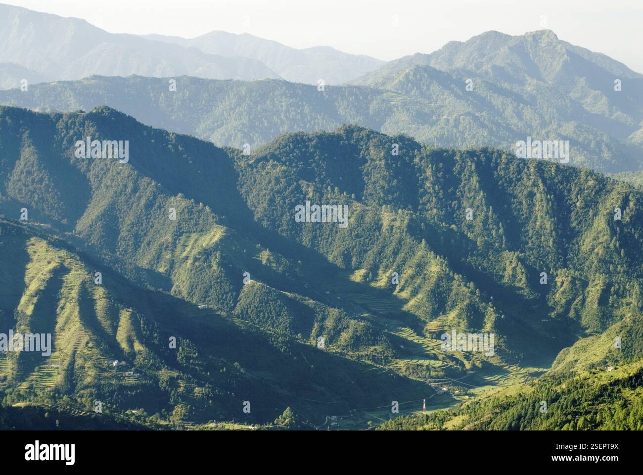 Green valley in morning light from Kaddukhal hill station, Uttaranchal ...