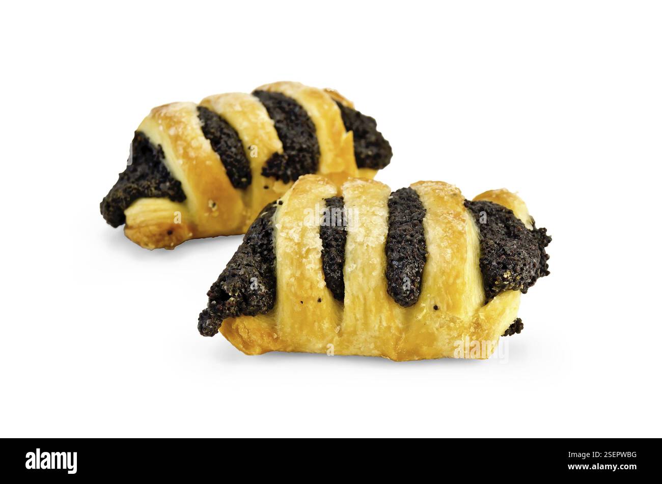 Two puff pastries filled with poppy seeds, sprinkled with sugar against ...