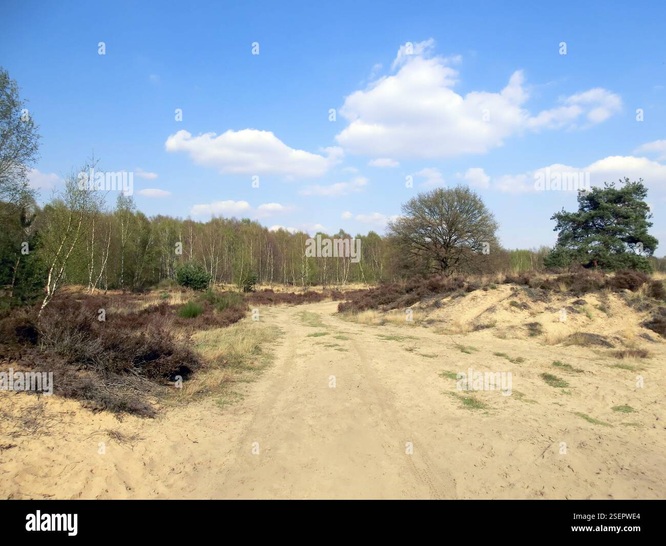 Heath areas hi-res stock photography and images - Alamy