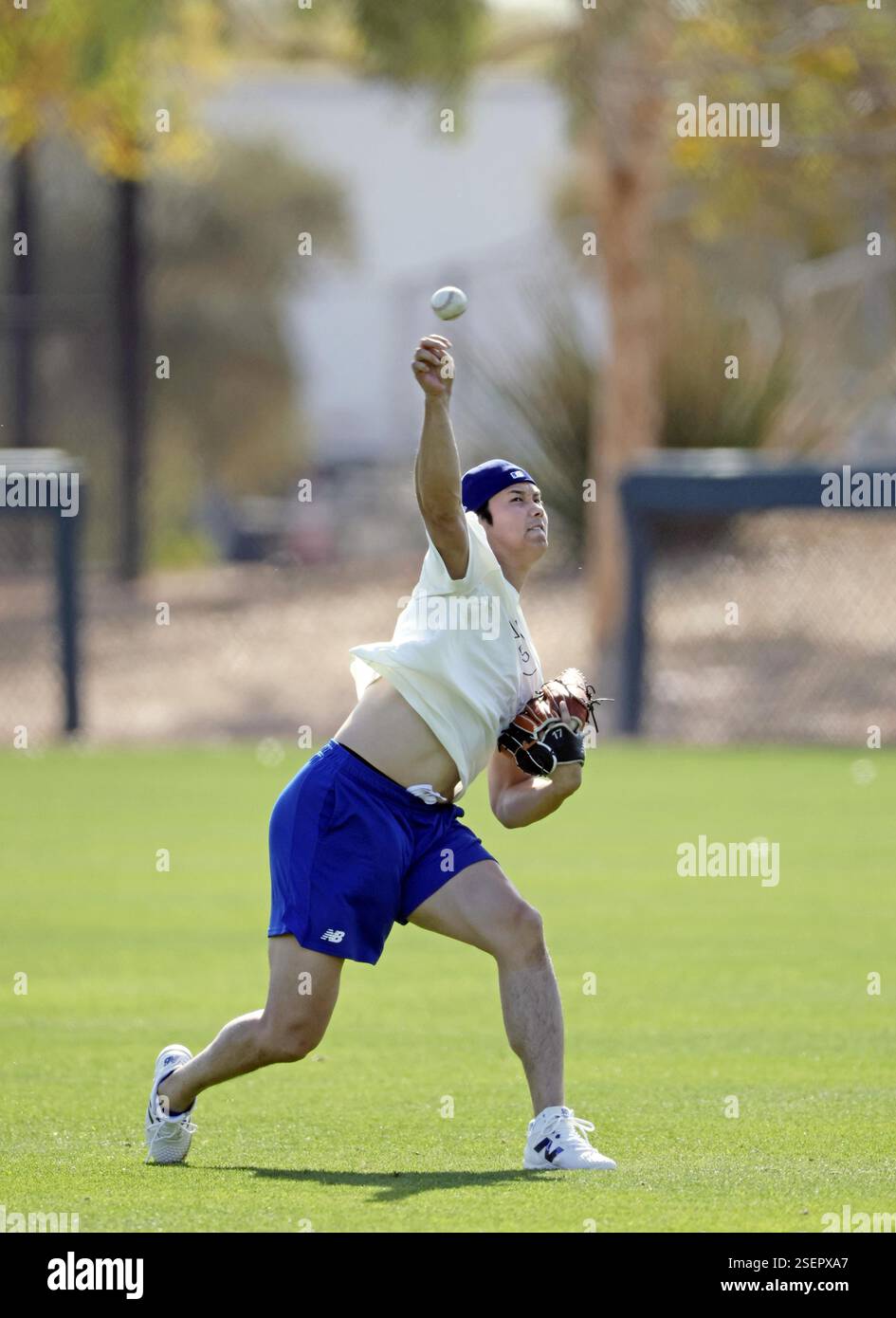 Shohei Ohtani of the Los Angeles Dodgers plays catch during a workout ...