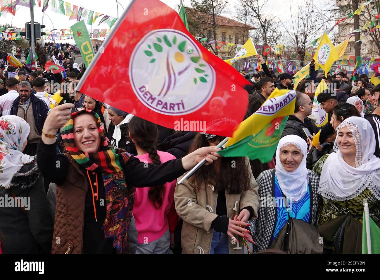 Diyarbakir, Turkey. 08th Feb, 2025. A Kurdish woman carrying party ...