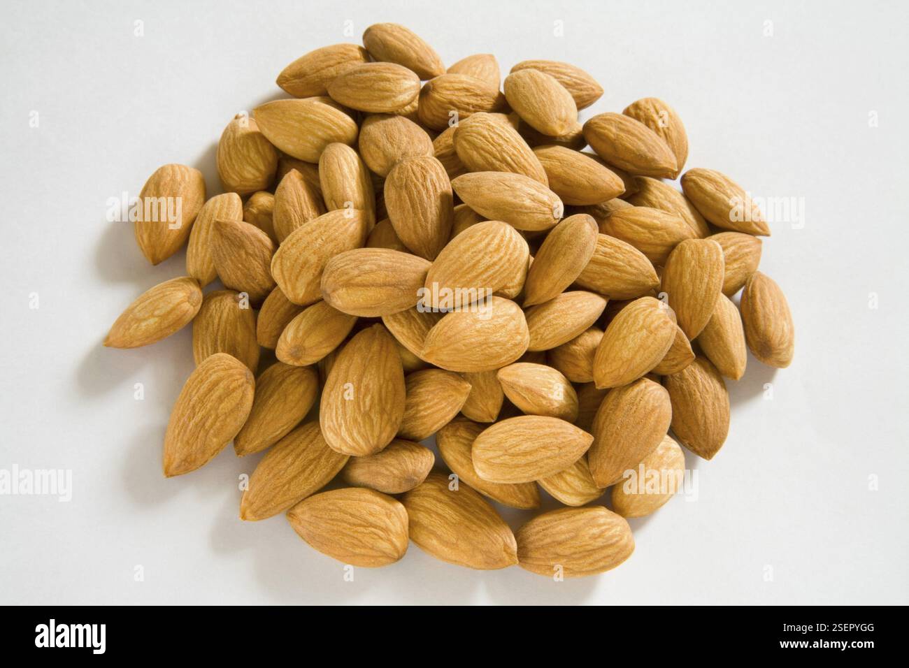 Dry fruit, whole Almonds nuts Badam Prunus dulcis on white background ...