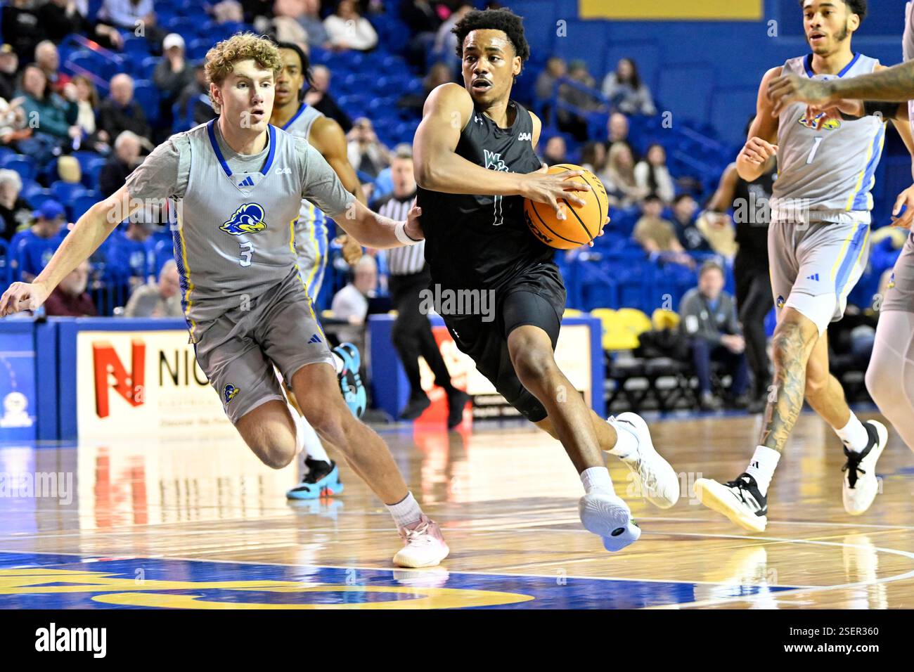 February 8, 2025, Newark, Delaware, U.S: William & Mary Tribe guard ...