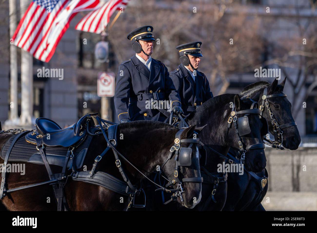 U.S. Army Soldiers from Caisson Detachment, 1st Battalion, 3d U.S ...