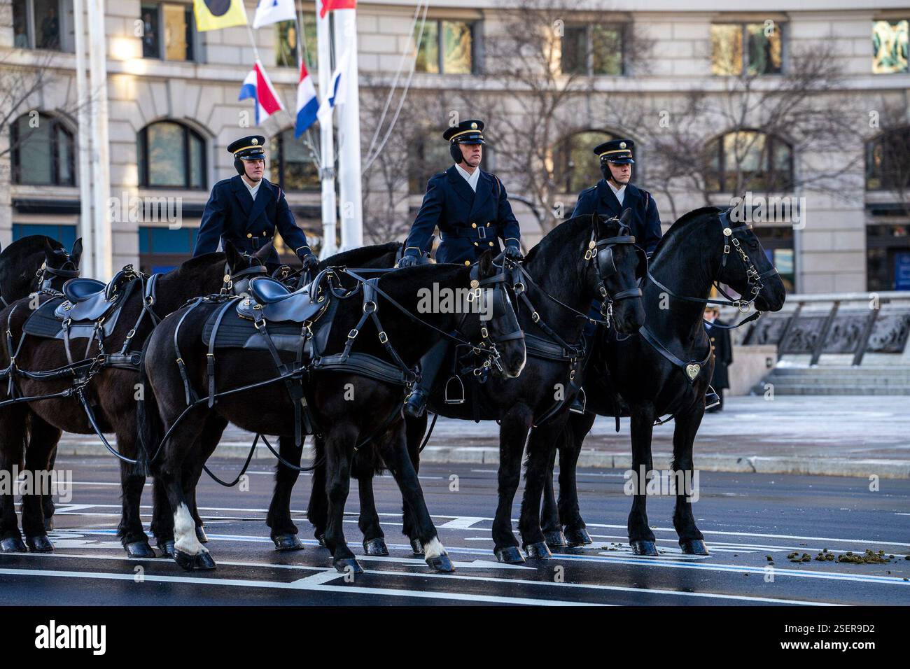 U.S. Army Soldiers from Caisson Detachment, 1st Battalion, 3d U.S ...