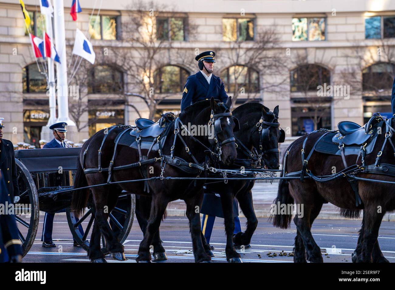 U.S. Army Sergeant Shawn Tabor and Wheel Horse's Regal and Gunther from ...