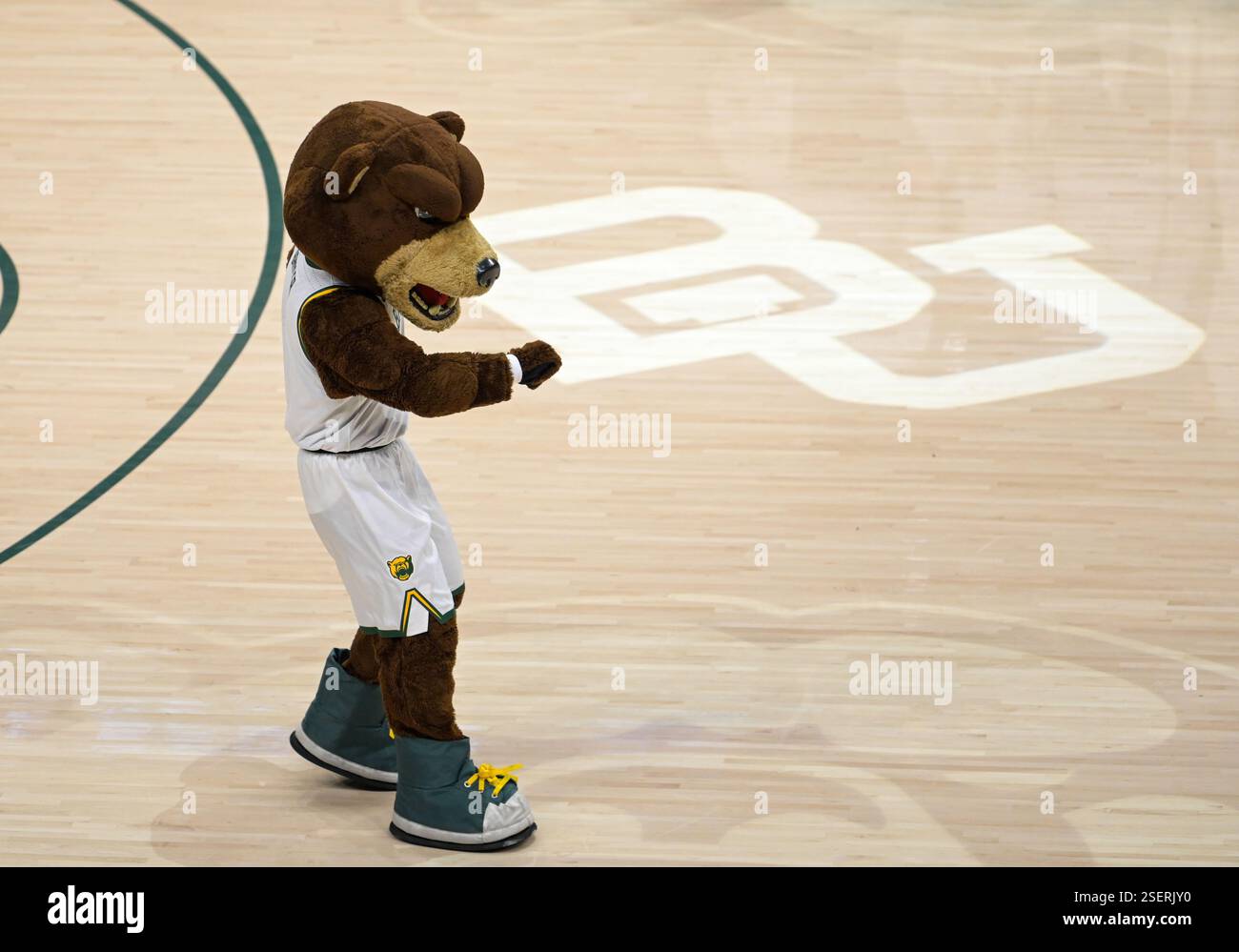 February 8, 2025: Baylor Bears mascot waits for the offices to review a ...