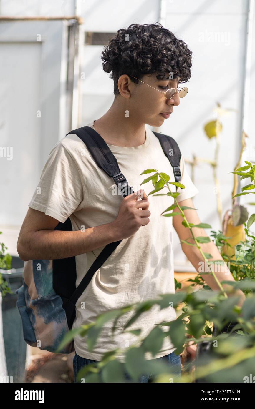 A person selecting a plant for their garden, focused on making the ...
