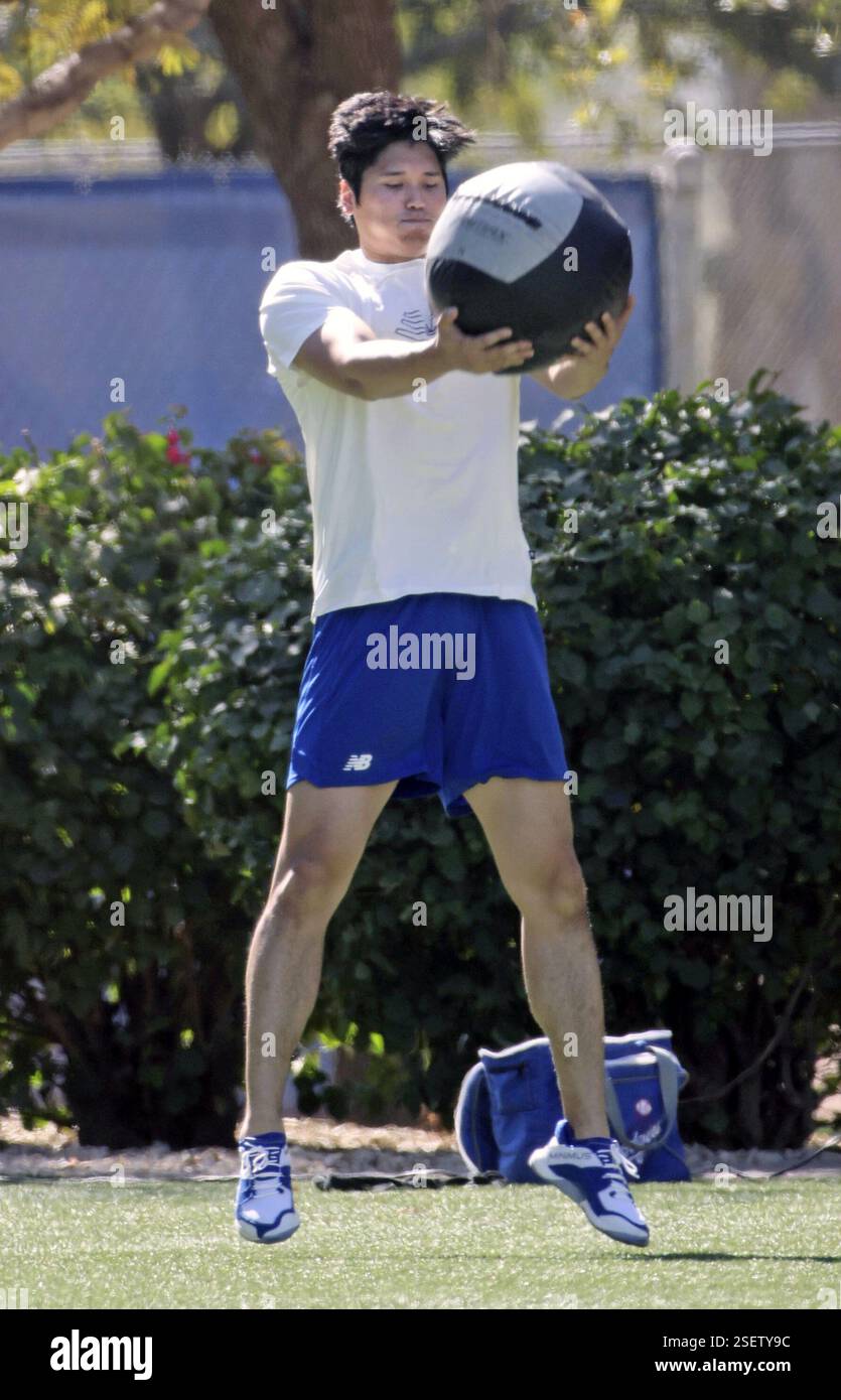Shohei Ohtani of the Los Angeles Dodgers is pictured during a workout ...