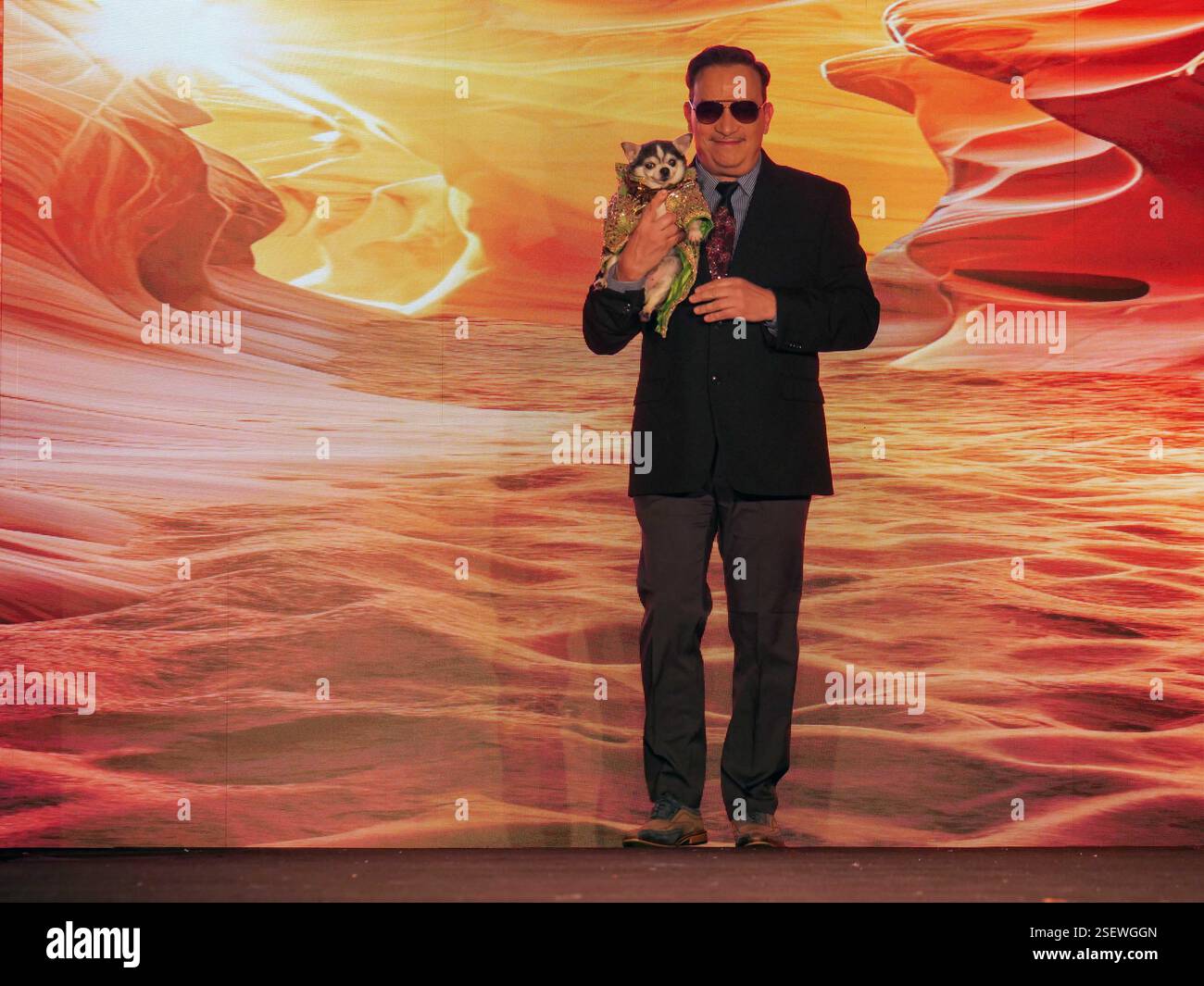 New York, New York, USA. 8th Feb, 2025. Glamorous dogs, models and a ...