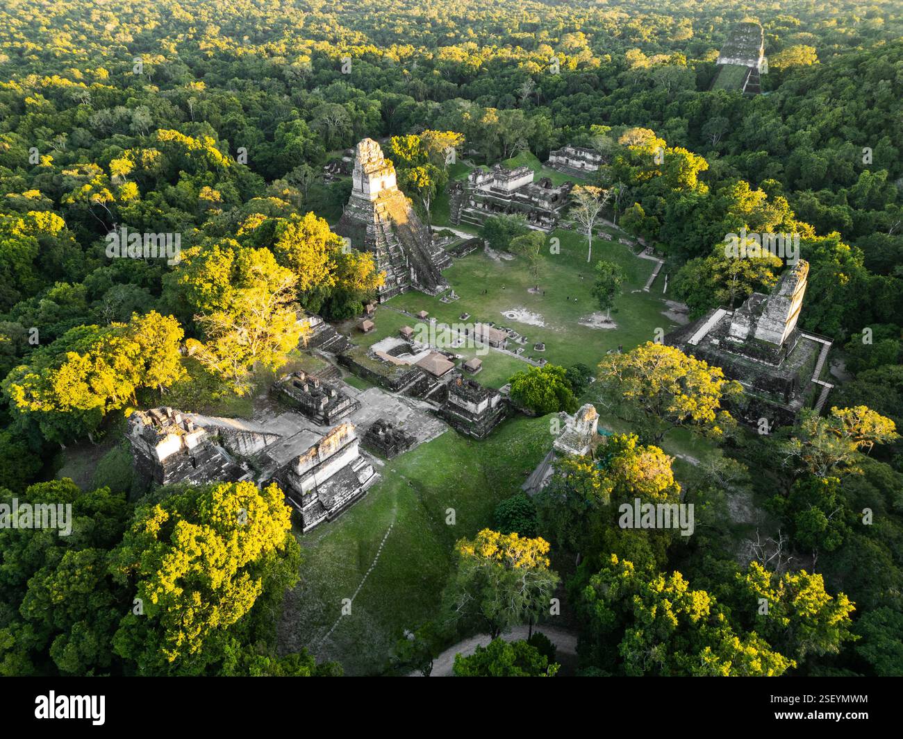 Great Plaza, Tikal, Guatemala Stock Photo - Alamy