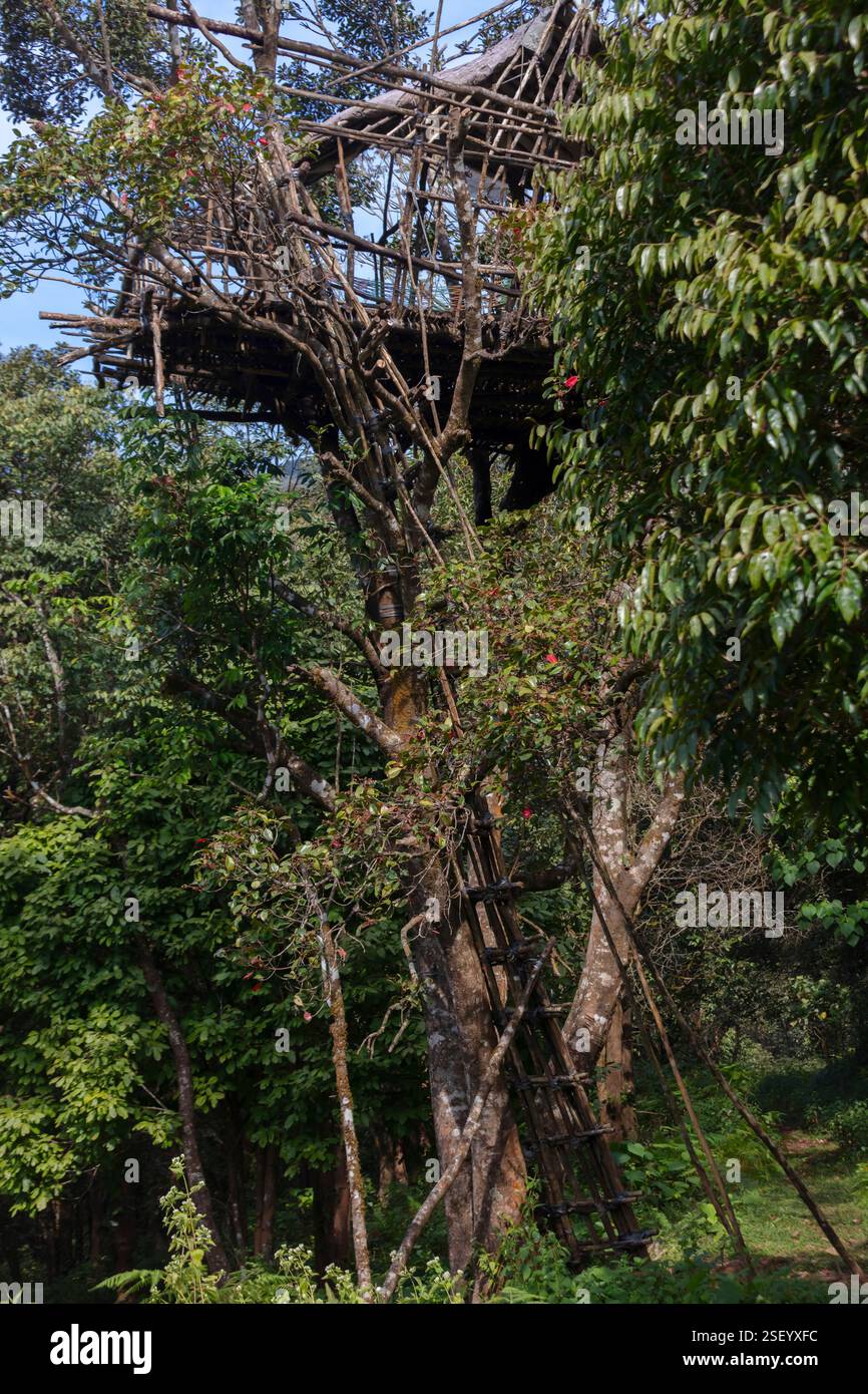 Wildlife viewing platform in the pristine rain forest reserve at ...