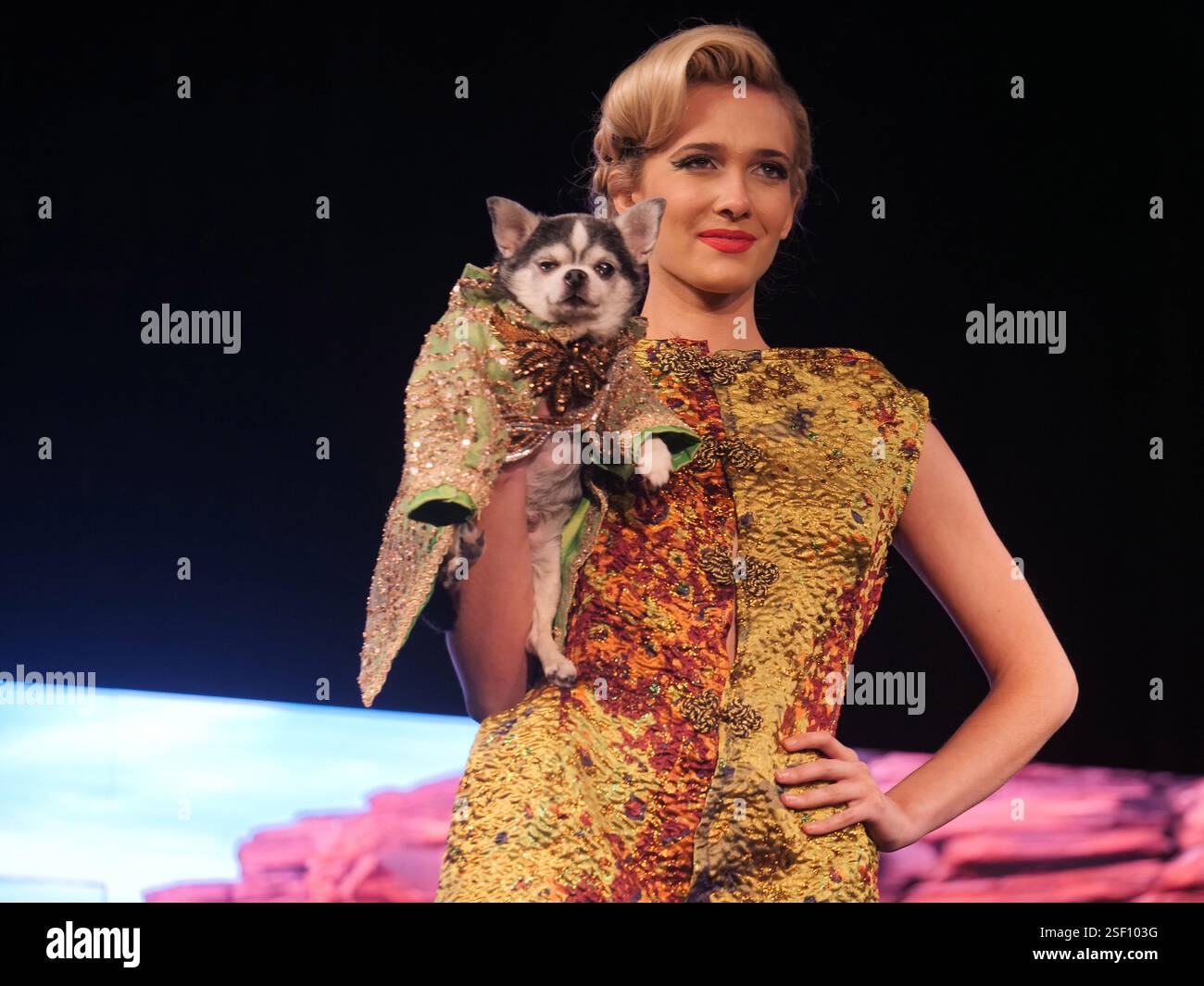 New York, New York, USA. 8th Feb, 2025. Glamorous dogs, models and a ...