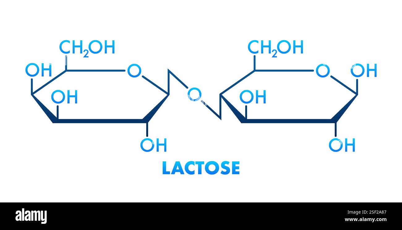 Lactose molecule structure consisting of galactose and glucose forming ...